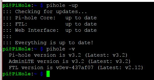 [Solved] - Version info missing on PiHole webinterface - Help - Pi-hole Userspace