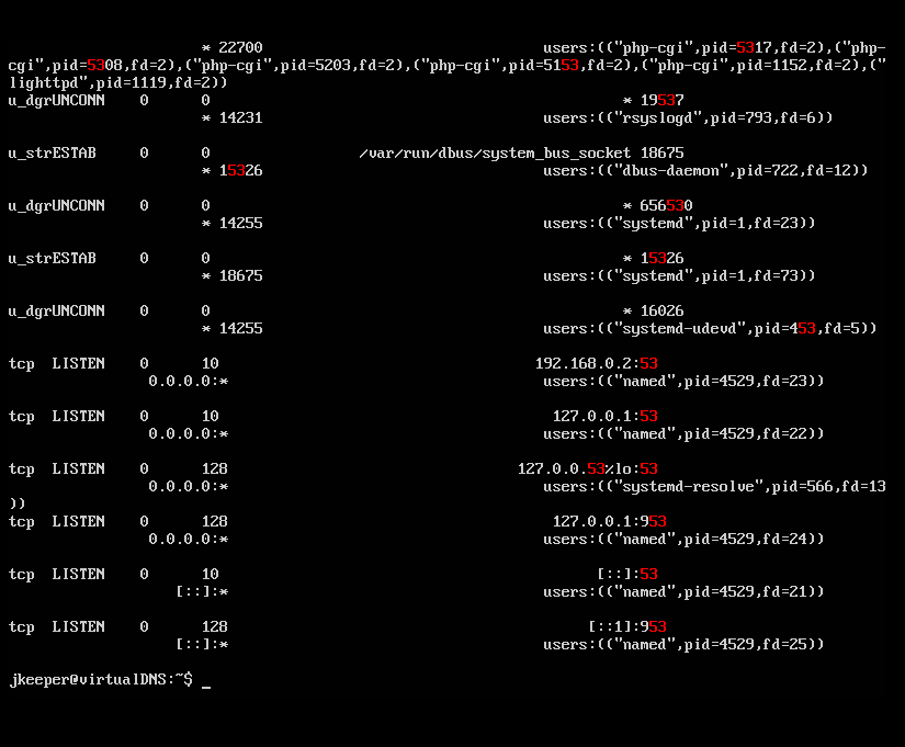 DNS resolving but Pi-hole not doing it - Help - Pi-hole Userspace