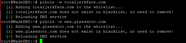 Unable to add whitelist/blacklist items using the web interface - Help - Pi-hole Userspace