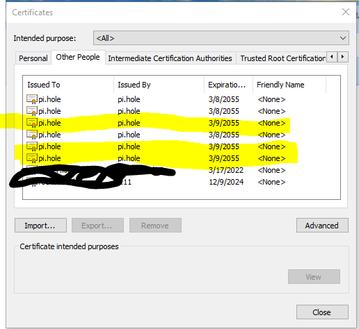 Wrong domain in CA certificate - secondary.pihole in pihole.toml, but pi.hole used in cert ...