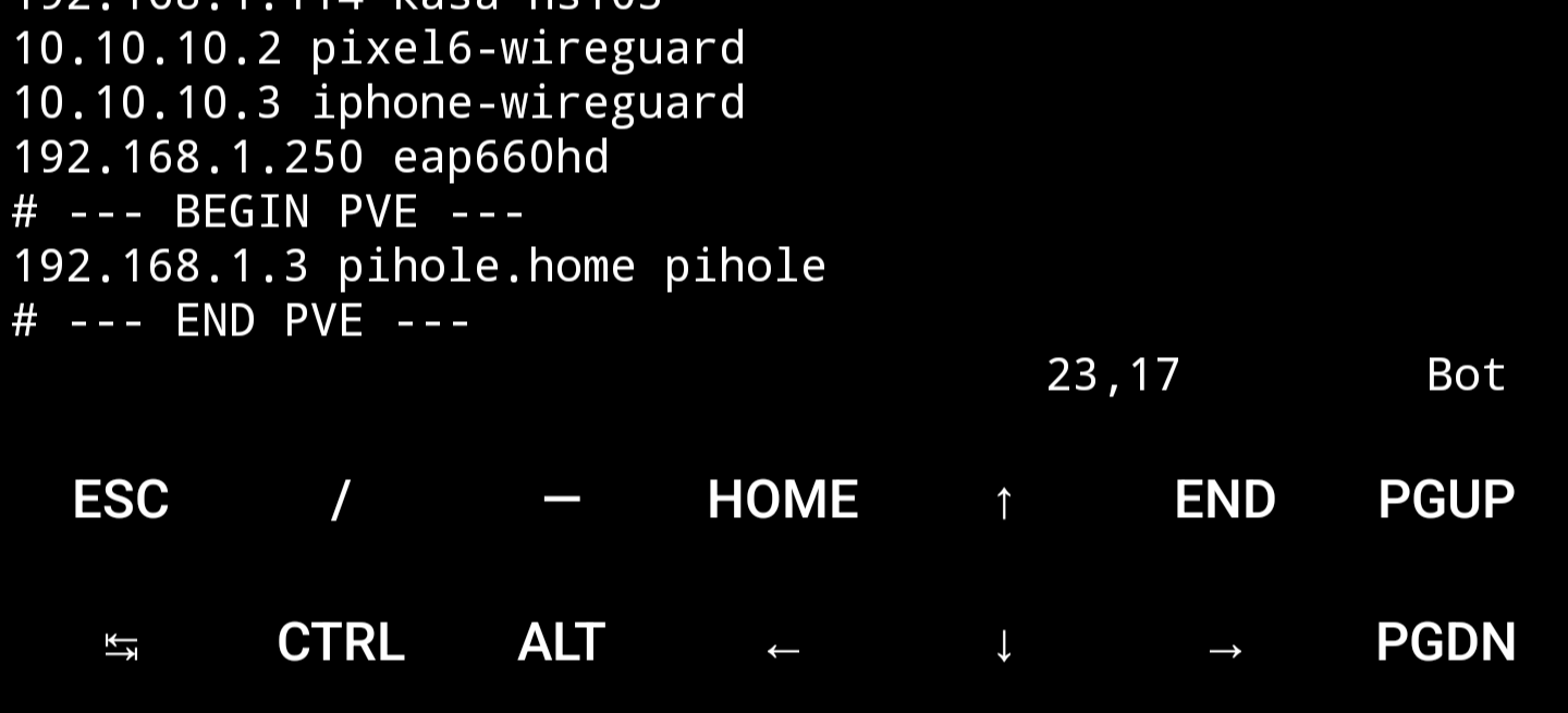 I have one entry in /etc/hosts that is still showing as IP in Query Log - Help - Pi-hole Userspace