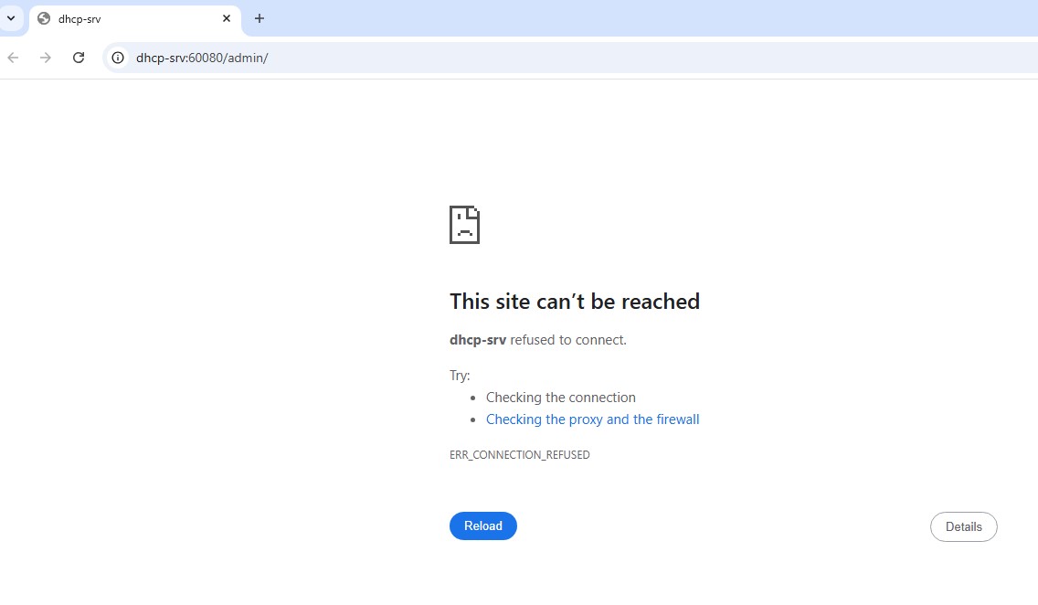 PI-Hole 6 DNS properly not working on Windows Server 2019 - Help - Pi-hole Userspace