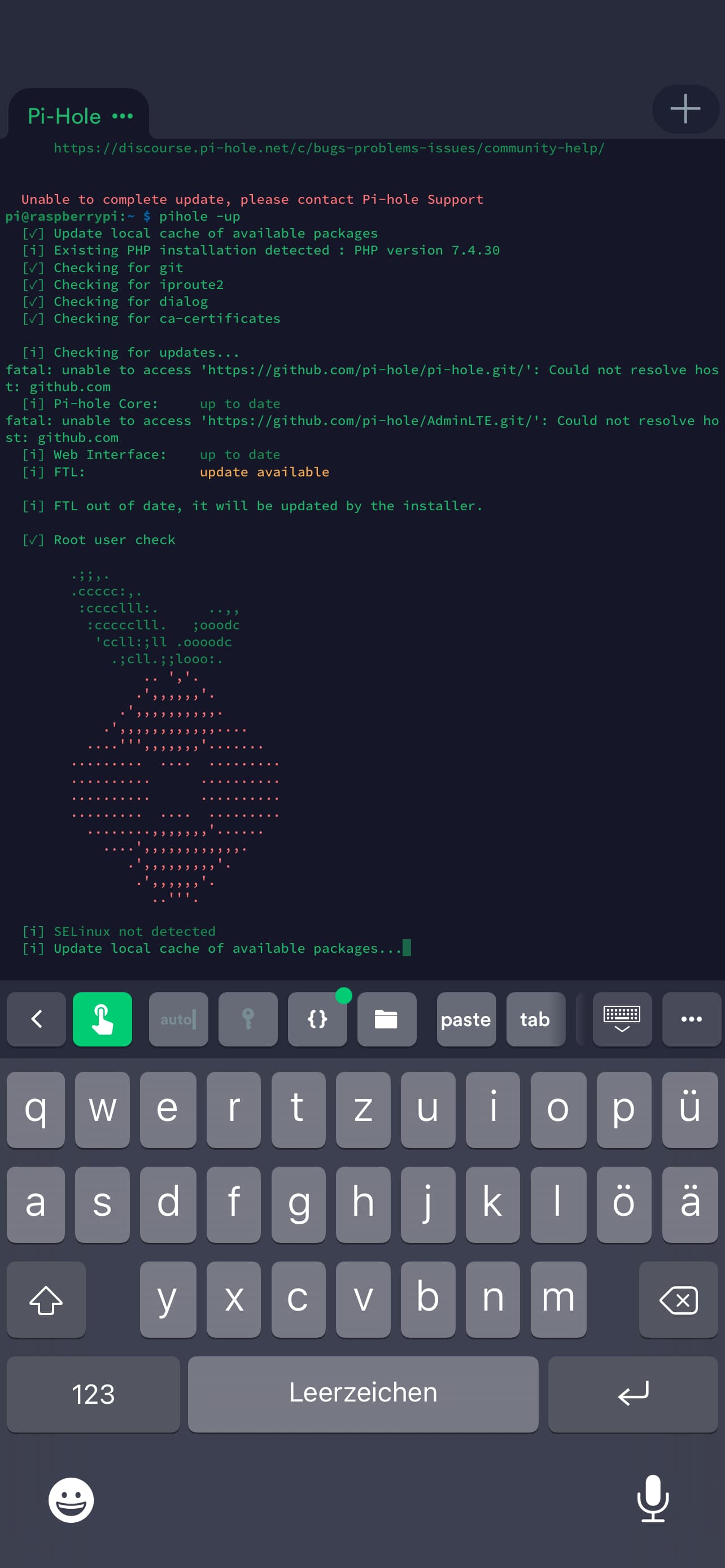 Update Not possible - Help - Pi-hole Userspace