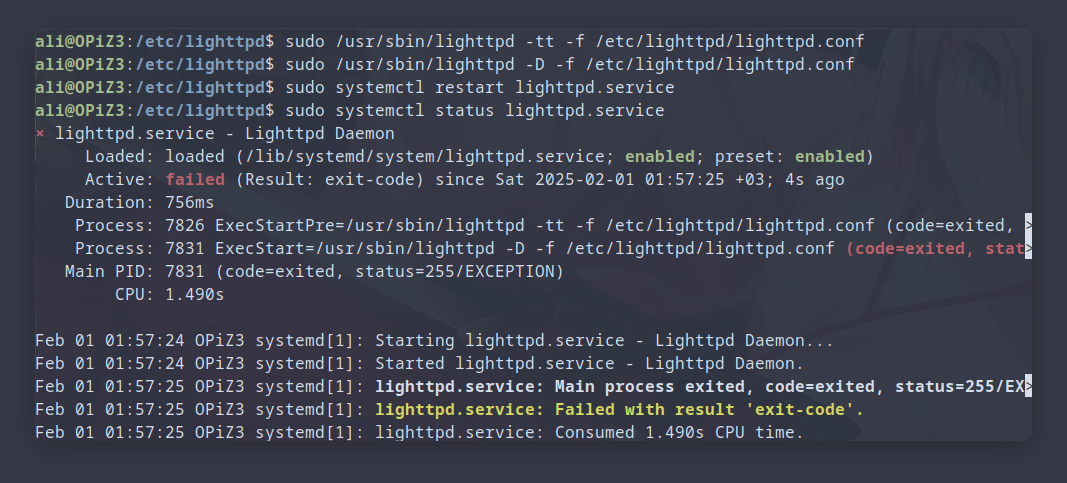 Unable to start lighttpd daemon - Help - Pi-hole Userspace