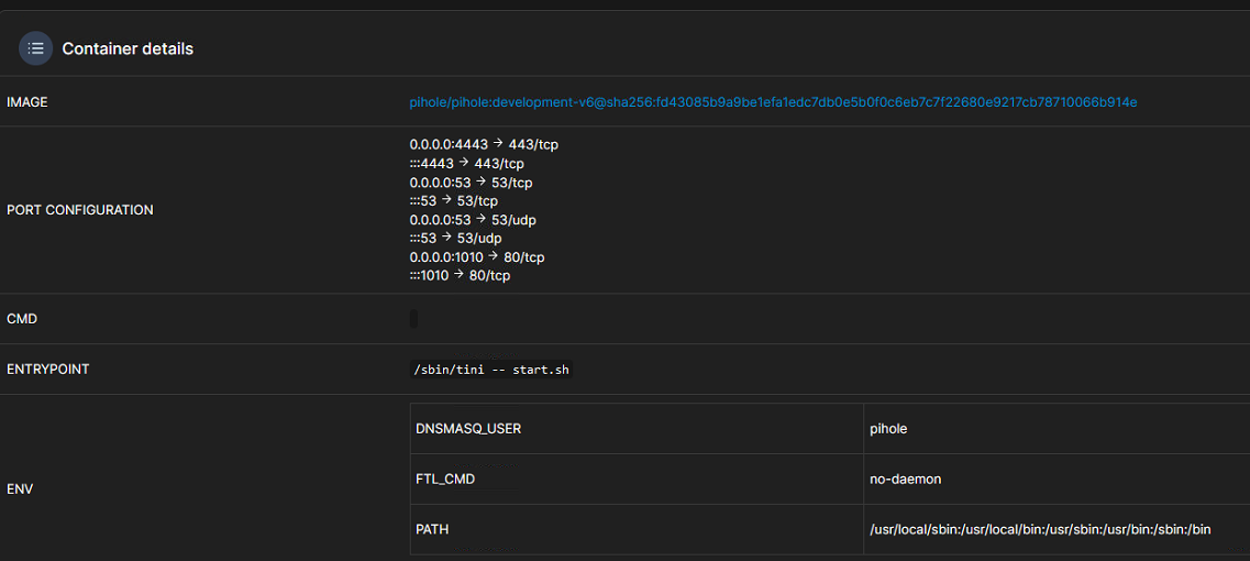 Docker V6 Dev gives weird log errors - Beta 6.0 - Pi-hole Userspace