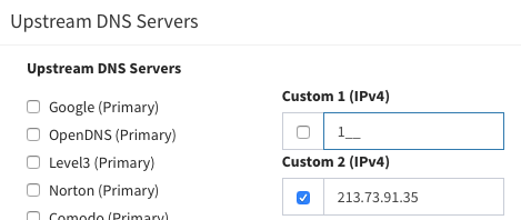 Unable to edit the custom DNS IPv4 adress in the web interface - Help - Pi-hole Userspace