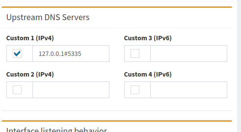 Custom DNS Upstream in Web interface - Implemented - Pi-hole Userspace