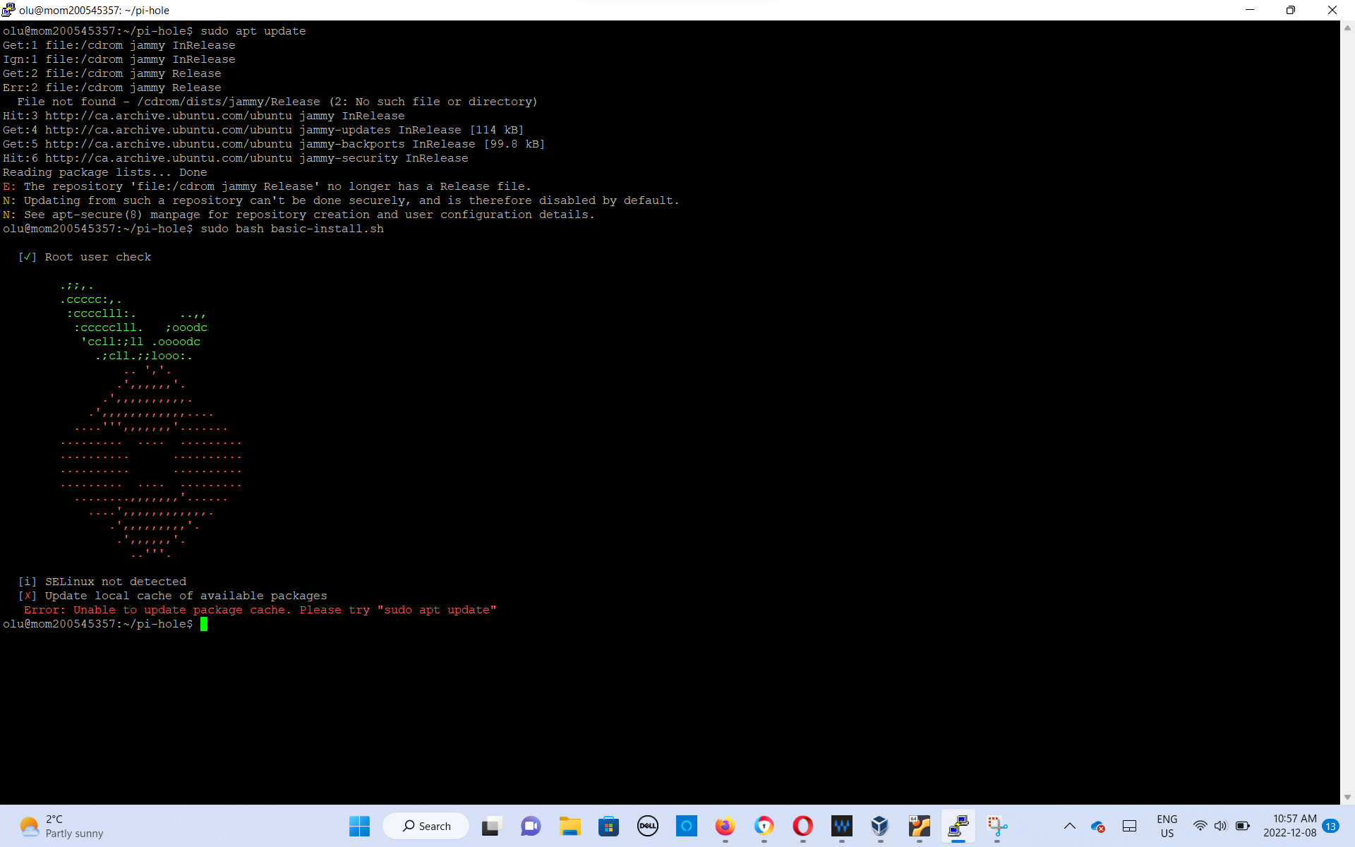 Error: Unable to update package cache. Please try "sudo apt update" - Community Help - Pi-hole ...